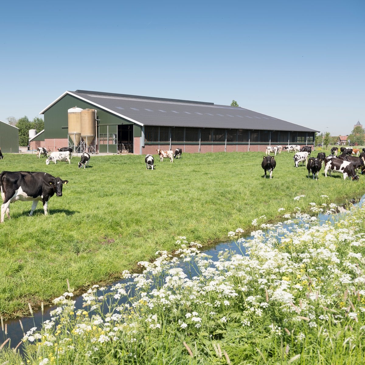 Actuele beurskoers aandeel ForFarmers | Beursgenoten
